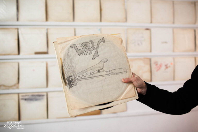 Rutherford Chang - Dust & Grooves. Vinyl Collection Books