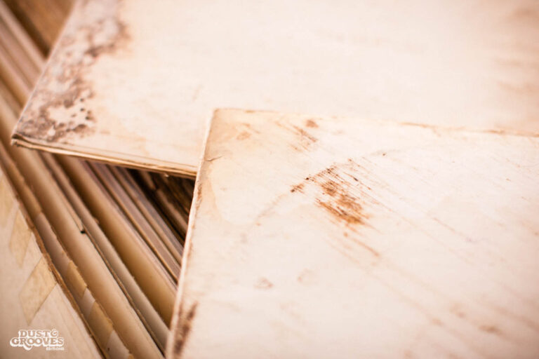 Rutherford Chang - Dust & Grooves. Vinyl Collection Books