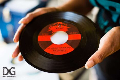Arlene Sepulveda & Ruben Molina - Dust & Grooves. Vinyl Collection Books