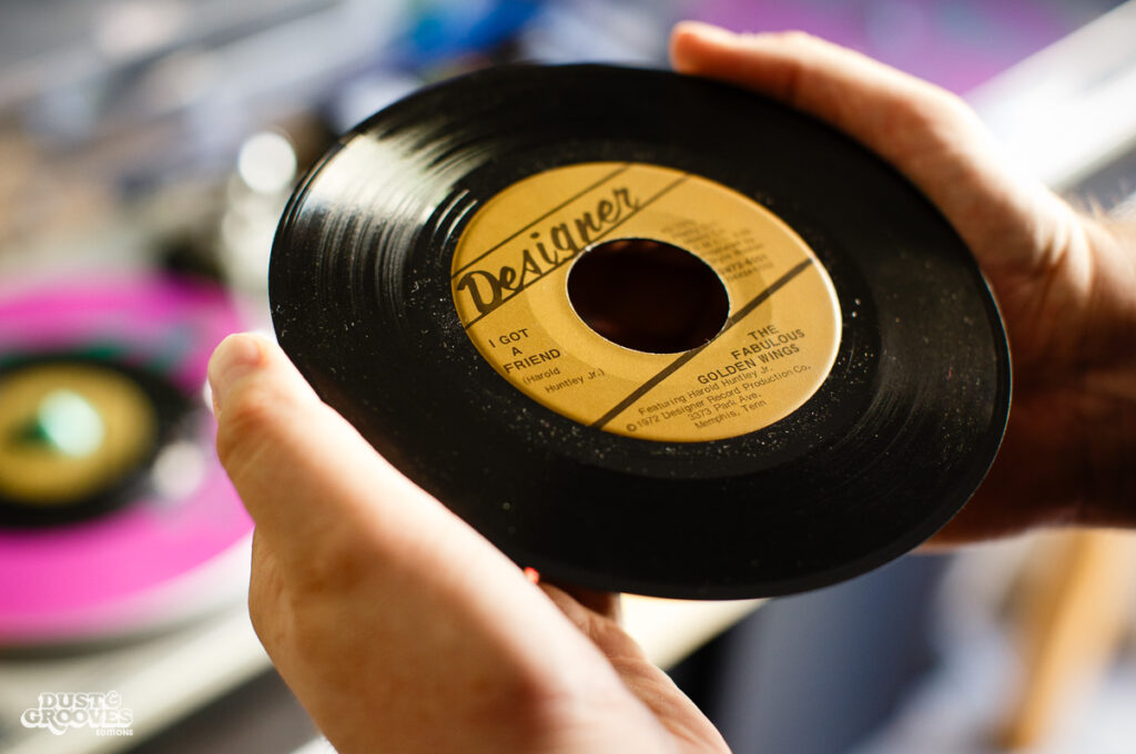 Greg Belson - Dust & Grooves. Vinyl Collection Books