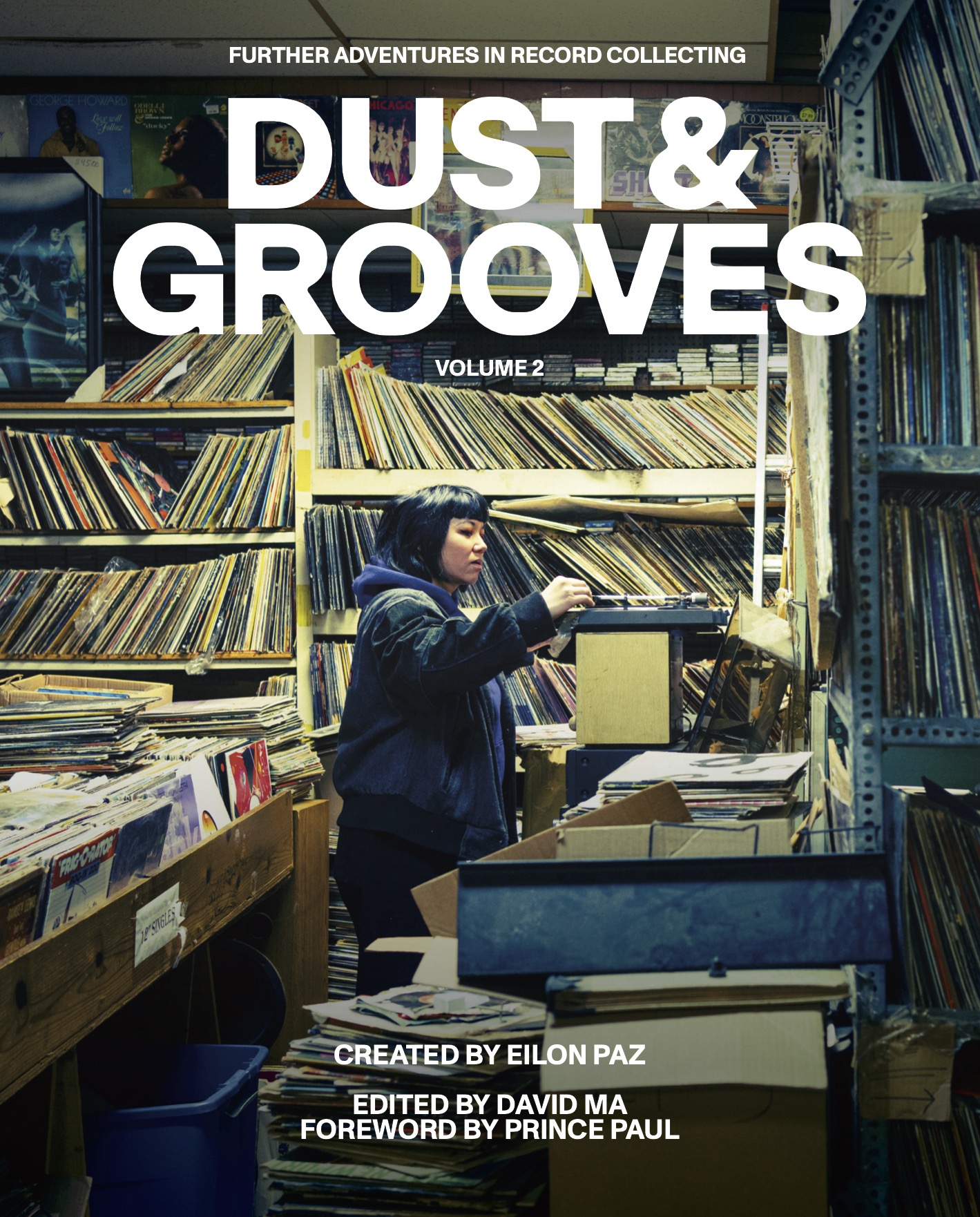 Dust & Grooves – Adventures in Record Collecting. A book about vinyl ...